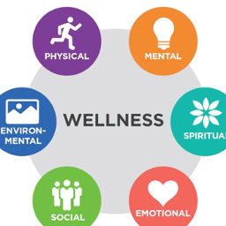 Health and Wellness Trends - Course Advisor